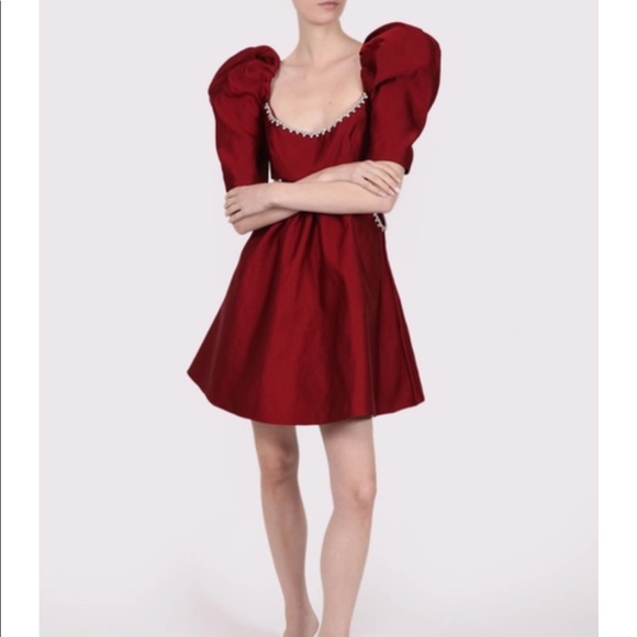 AREA | Dresses | Area Sculpted Sleeve Dress | Poshmark